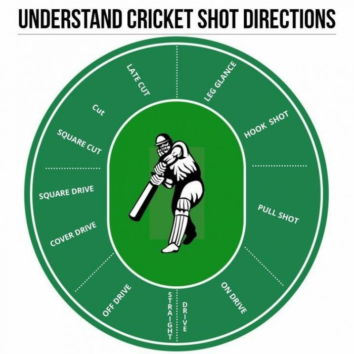 Understanding Different Cricket Shots and Directions – sportsingo