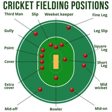 Different Fielding Positions in Cricket Ground – sportsingo